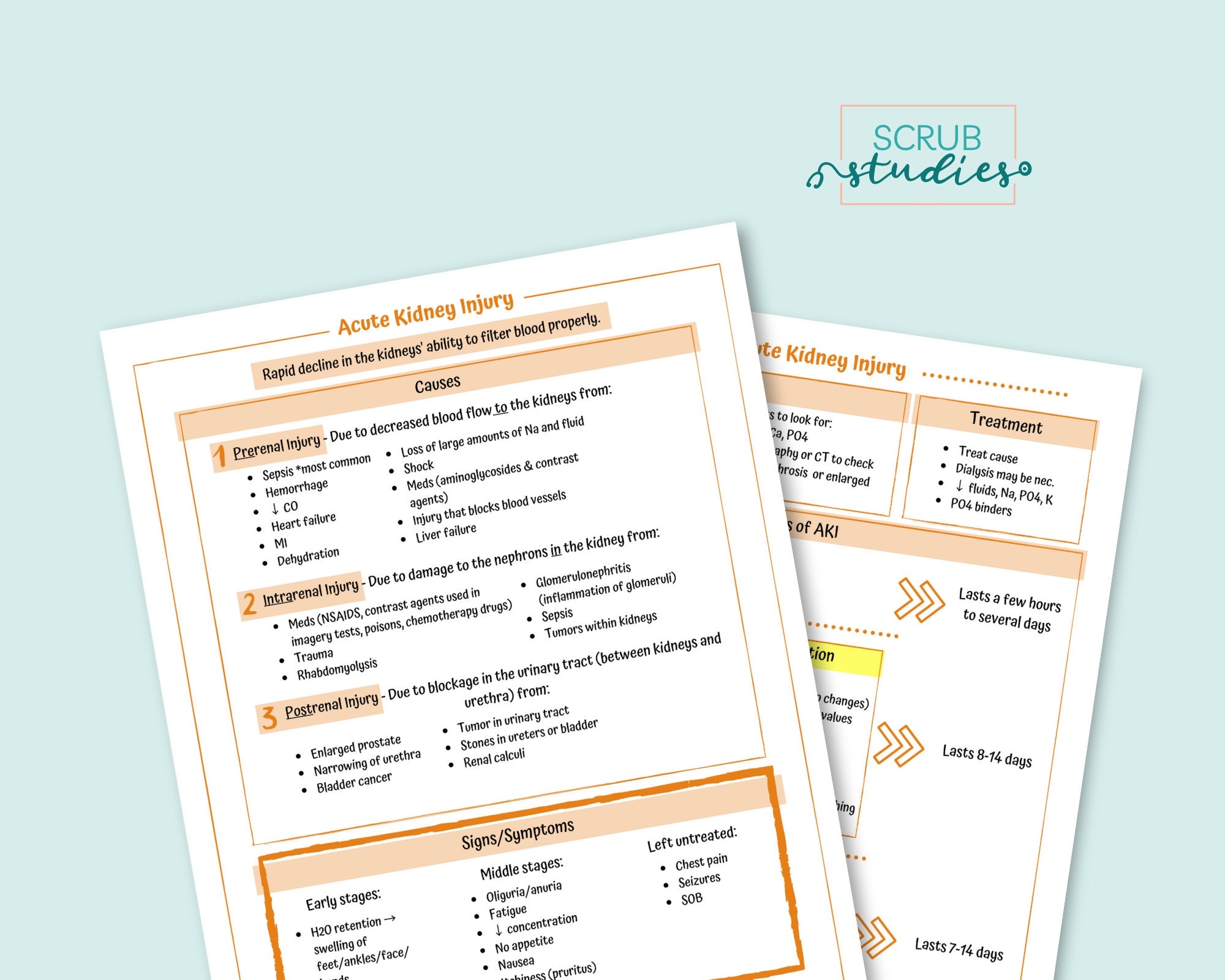Acute Kidney Injury | AKI | Nursing Study Guide | Digital Download - Etsy
