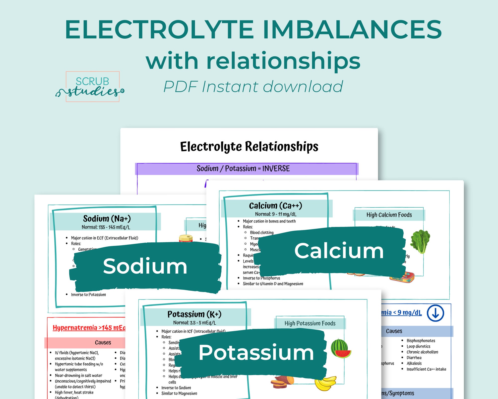 Electrolyte Imbalances Study Guide | Nursing Study Guides | Digital ...