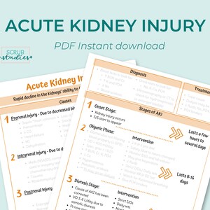 Acute Kidney Injury AKI Nursing Study Guide Digital | Etsy