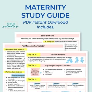 OB & Maternity Study Guide | Nursing Student Study Guide | Labor and ...