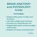 Brain Anatomy and Physiology Nursing Student Study Guide Digital ...