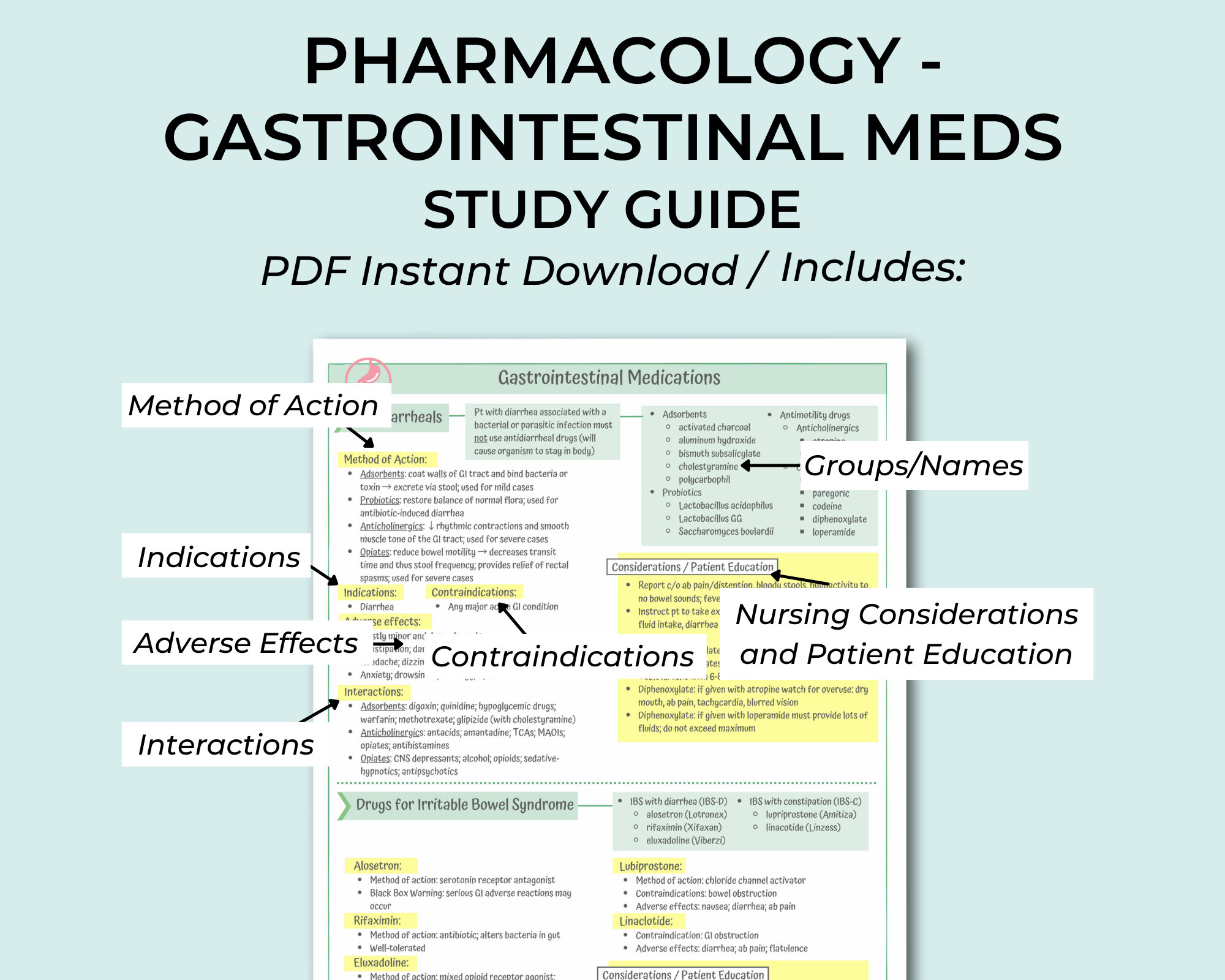 Pharmacology Gastrointestinal Meds Nursing Student Study Guide Digital ...