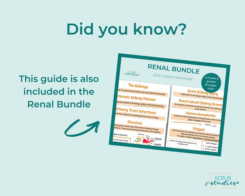 Renal Calculi Kidney Stones Nursing Study Guide Digital - Etsy