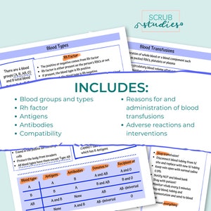 Blood Types and Transfusions | Nursing Student Study Guide | Digital ...