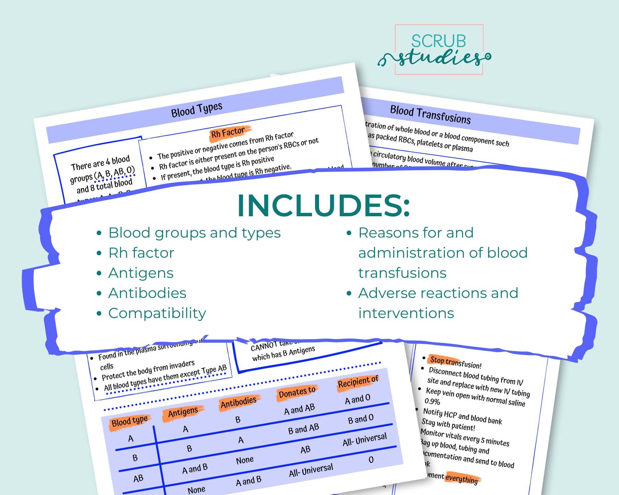 Blood Types and Transfusions | Nursing Student Study Guide | Digital ...