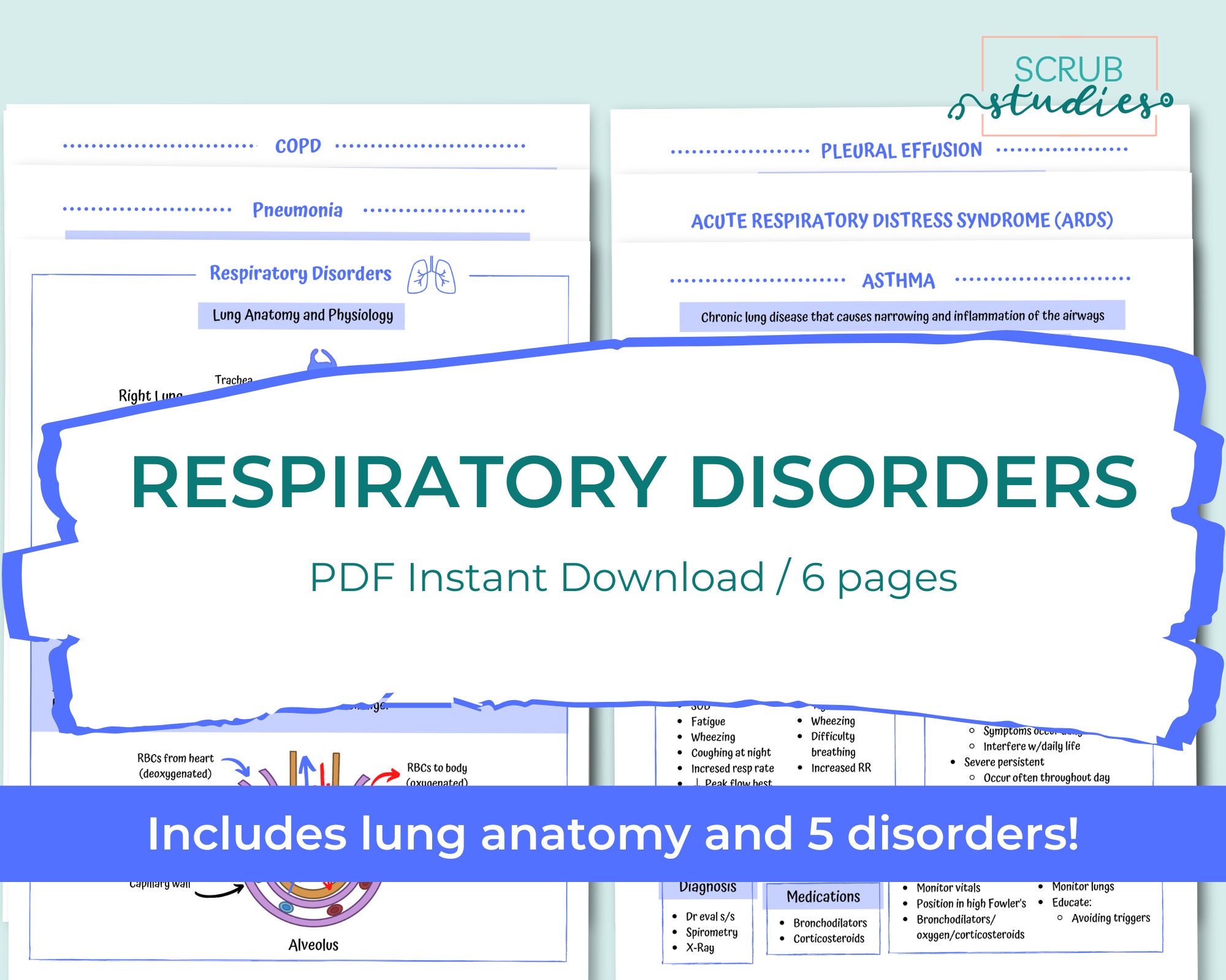 Respiratory Disorders Study Guide Nursing Student Study - Etsy