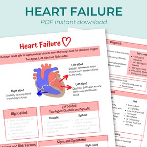 Cardiac Bundle Study Guide Nursing Study Guide Heart | Etsy
