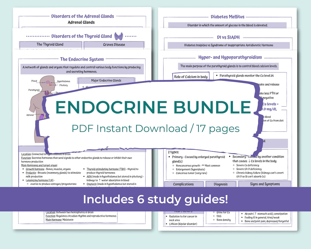 Endocrine Bundle | Nursing Student Study Guide | Digital Download ...