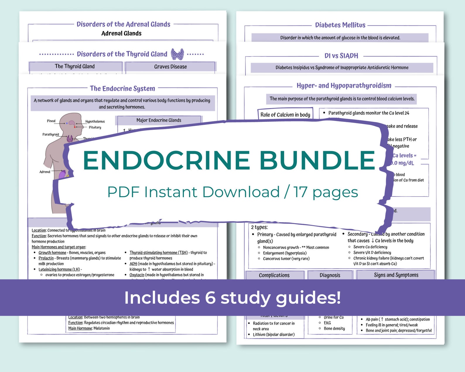 Endocrine Bundle Nursing Student Study Guide Digital Download Thyroid ...