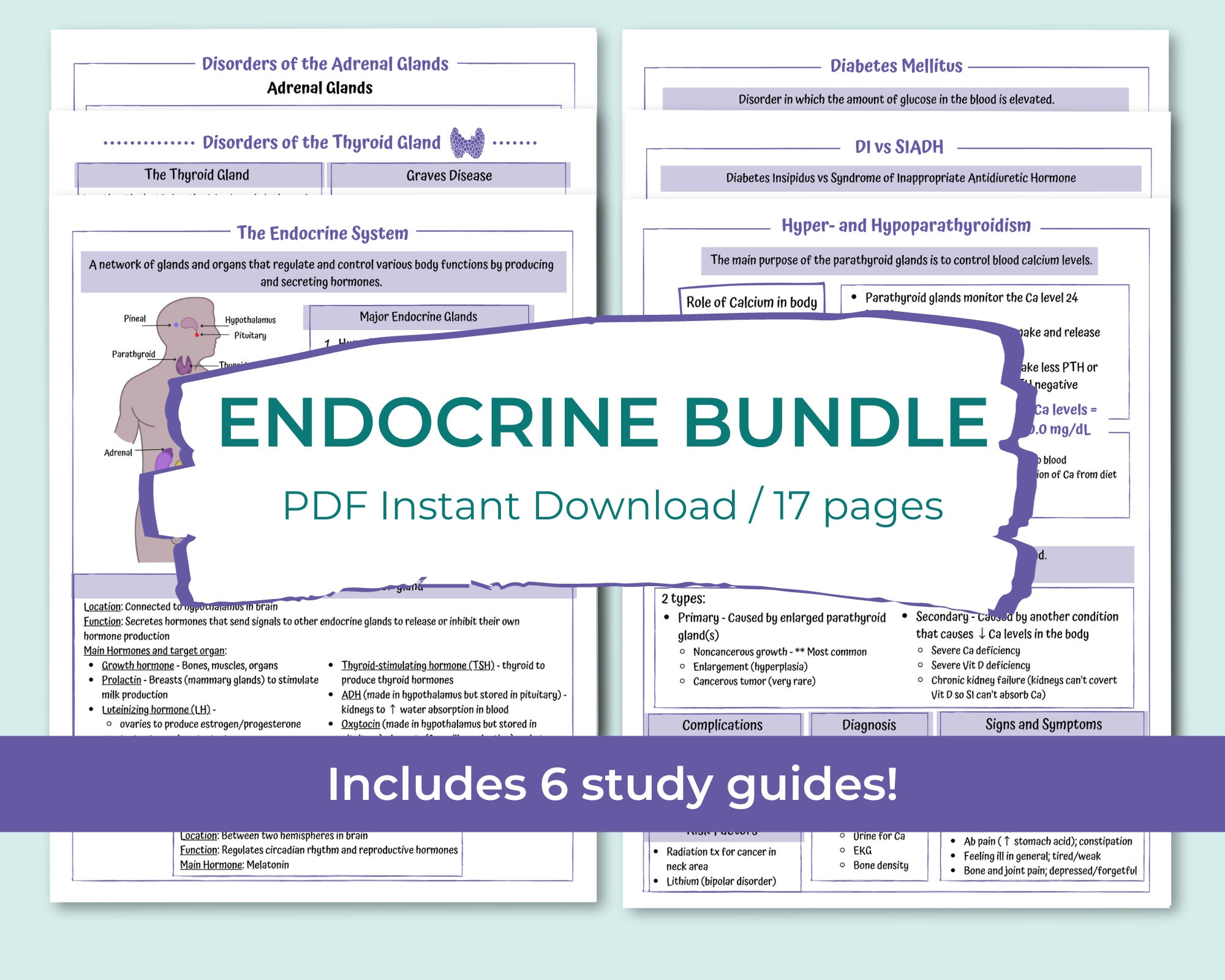Endocrine Bundle | Nursing Student Study Guide | Digital Download ...