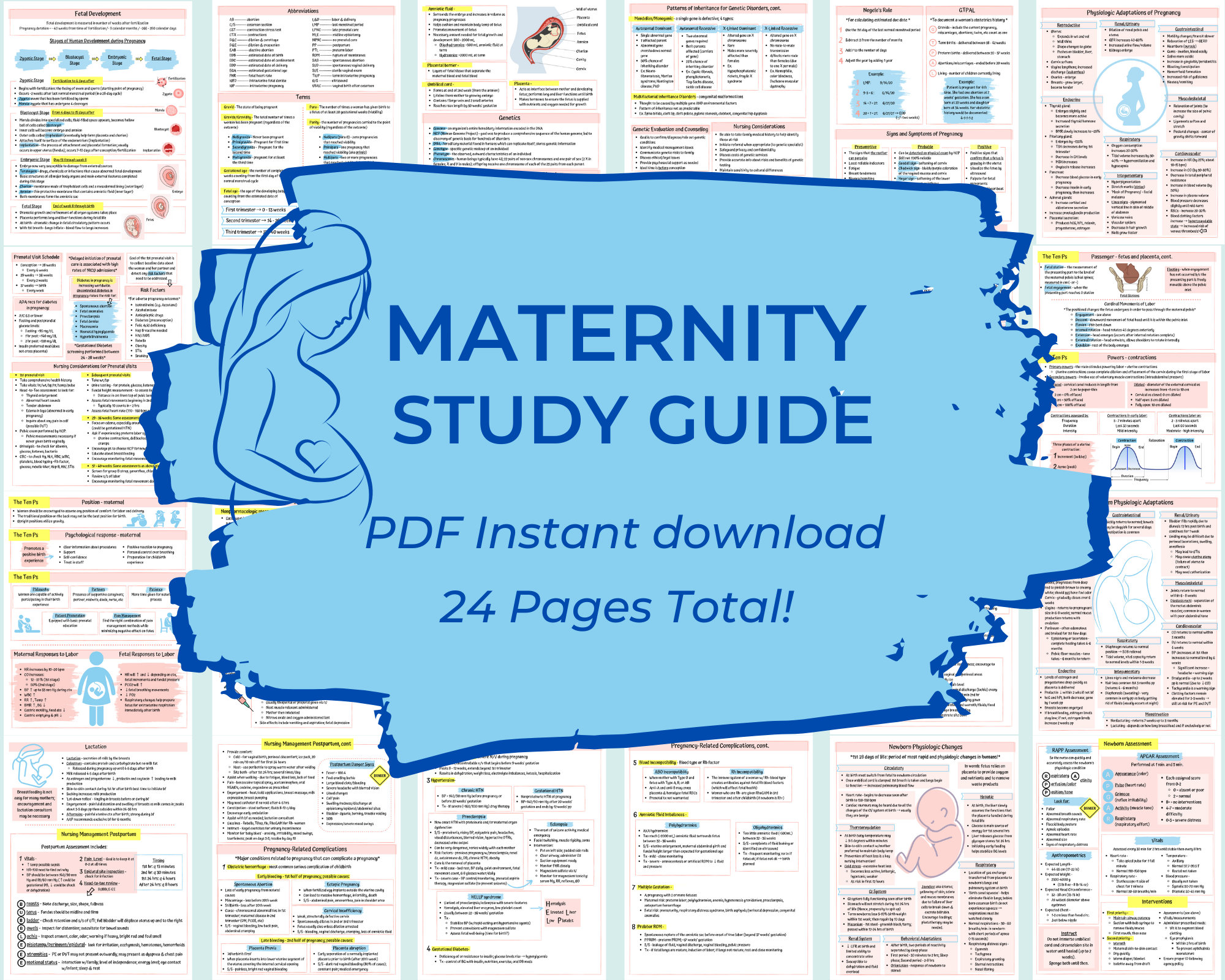 OB & Maternity Study Guide | Nursing Student Study Guide | Labor and ...
