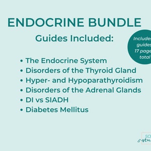 Endocrine Bundle Nursing Student Study Guide Digital - Etsy
