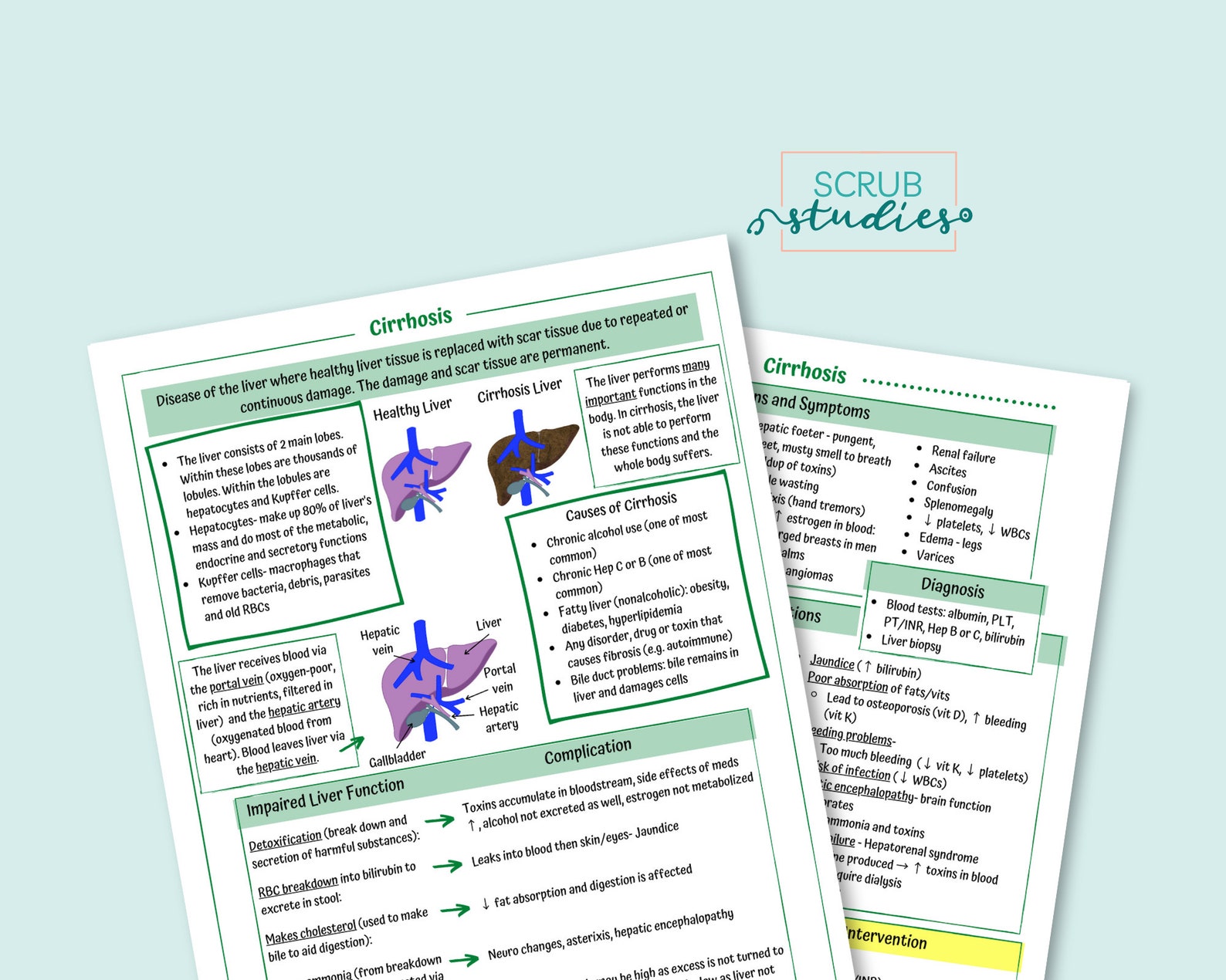 Cirrhosis Study Guide | Nursing Study Guide | Digital Download ...