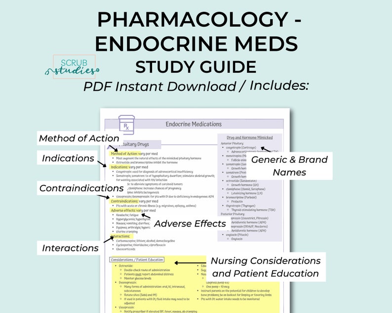 Pharmacology - Endocrine Medications | Nursing Student Study Guide ...