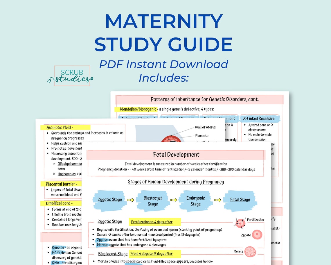 OB & Maternity Study Guide | Nursing Student Study Guide | Labor and ...