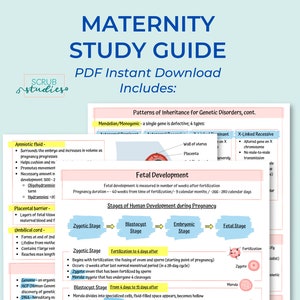 OB & Maternity Study Guide | Nursing Student Study Guide | Labor and ...