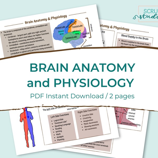 Anatomy and Physiology Notes Template - Etsy