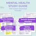 Psychiatric-mental Health Study Guide Nursing Student Study Guide ...