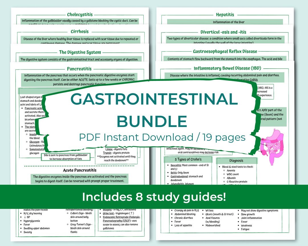 Gastrointestinal Bundle | Nursing Study Guide | GI Bundle | Digital ...