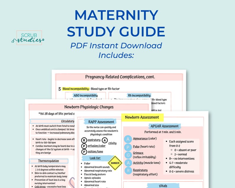 OB & Maternity Study Guide Nursing Student Study Guide - Etsy