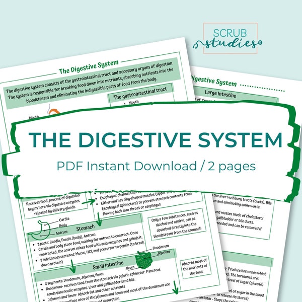 Urinary Tract Infections UTI Cystitis Urethritis Pyelonephritis Nursing ...