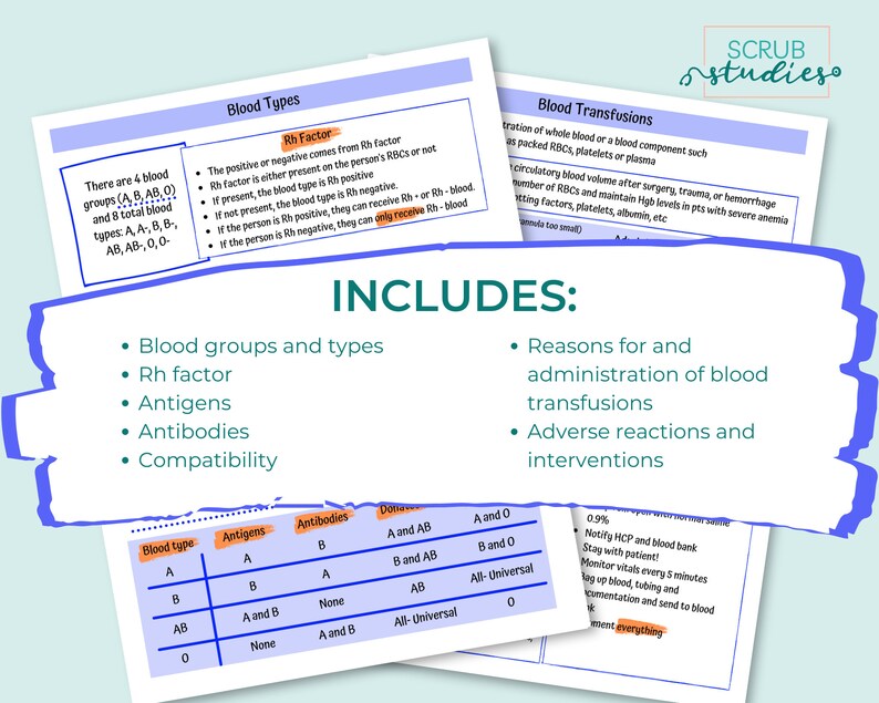 Blood Types and Transfusions Nursing Student Study Guide - Etsy