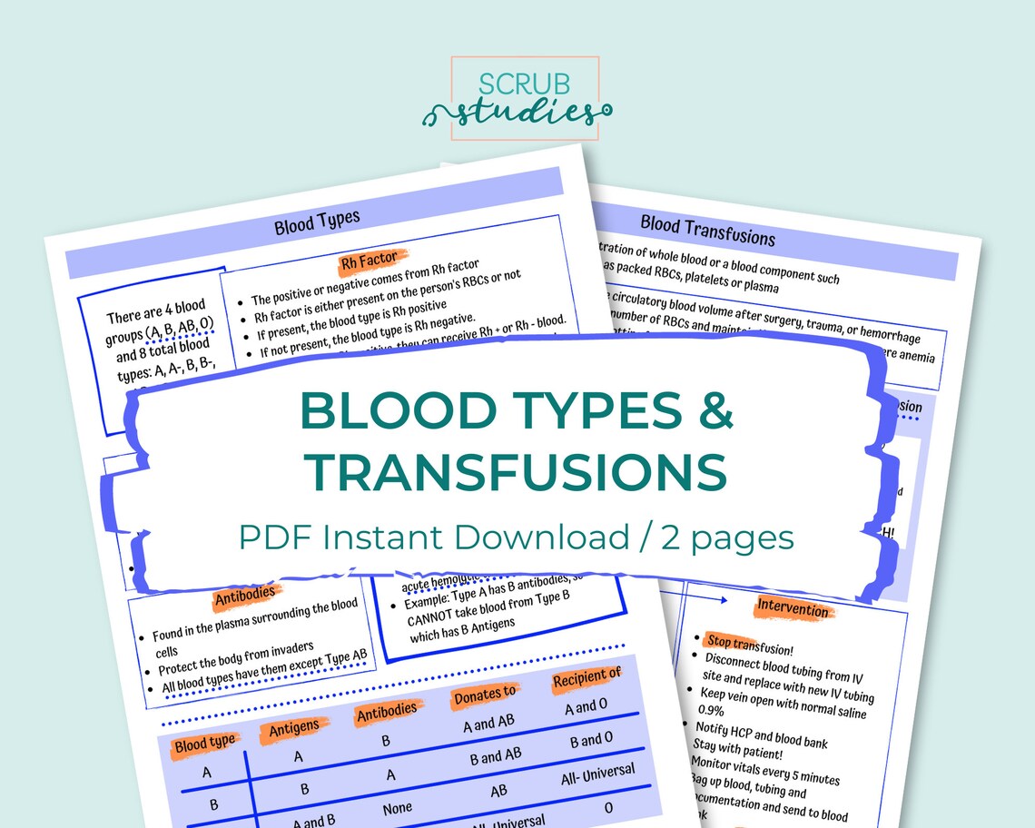 Blood Types and Transfusions | Nursing Student Study Guide | Digital ...