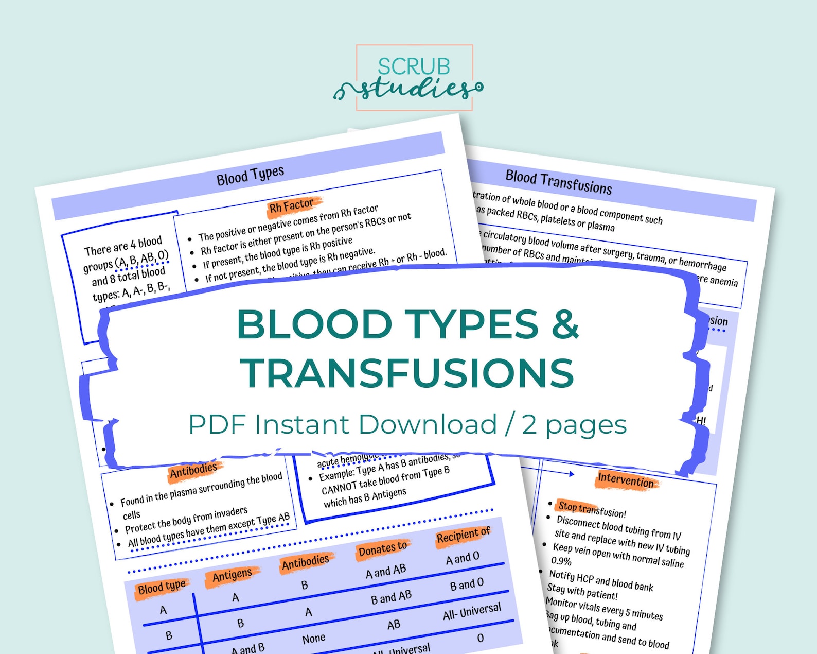 Blood Types and Transfusions | Nursing Student Study Guide | Digital ...