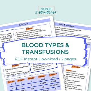 Blood Types and Transfusions | Nursing Student Study Guide | Digital ...