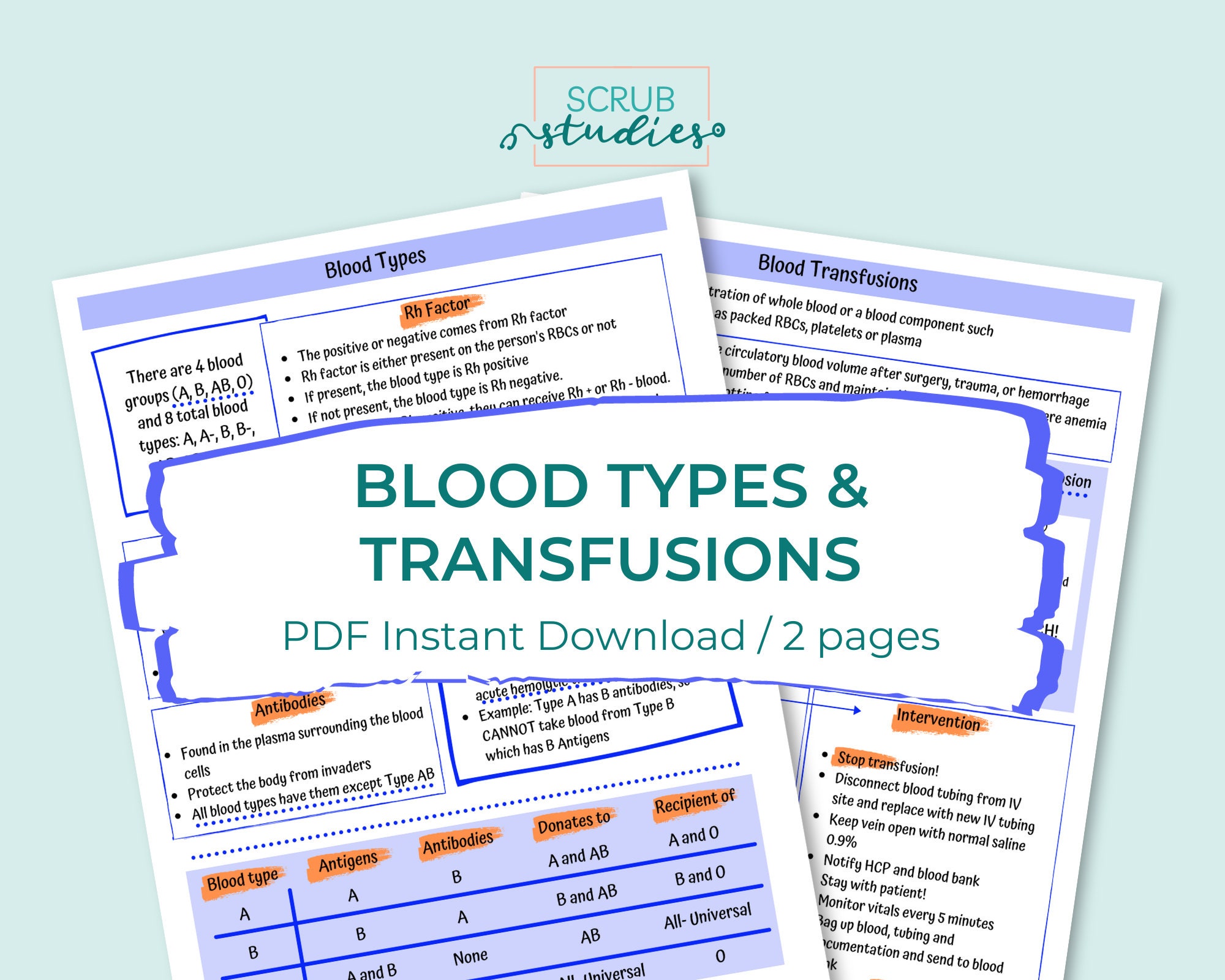 Blood Types and Transfusions | Nursing Student Study Guide | Digital ...