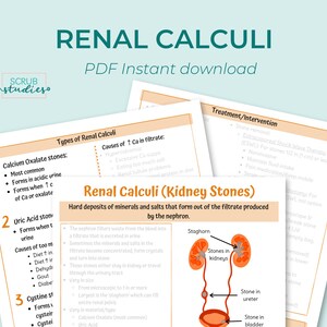 Renal Calculi Kidney Stones Nursing Study Guide Digital - Etsy