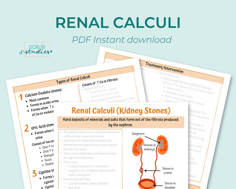 Renal Calculi Kidney Stones Nursing Study Guide Digital - Etsy