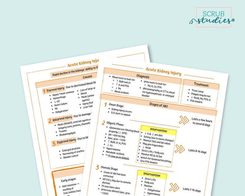 Acute Kidney Injury AKI Nursing Study Guide Digital - Etsy