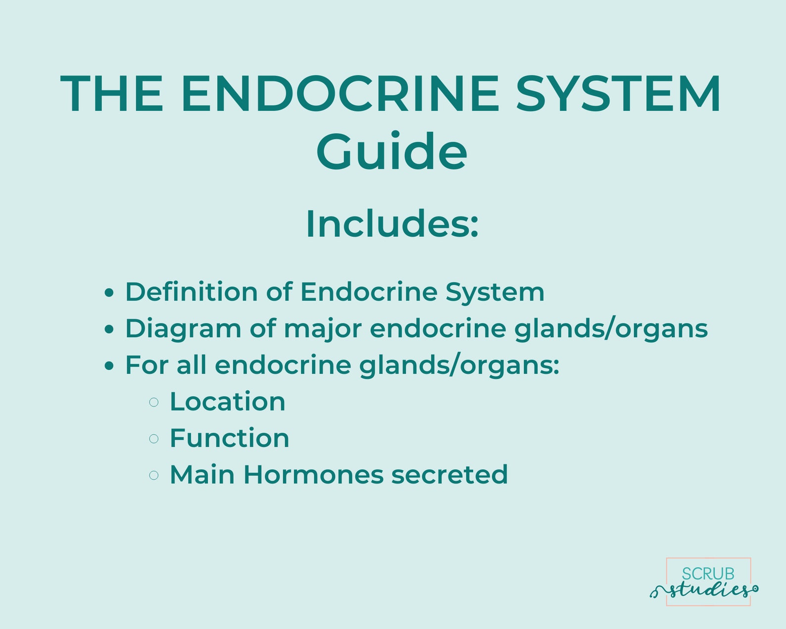 Endocrine System Study Guide Nursing Study Notes Digital - Etsy