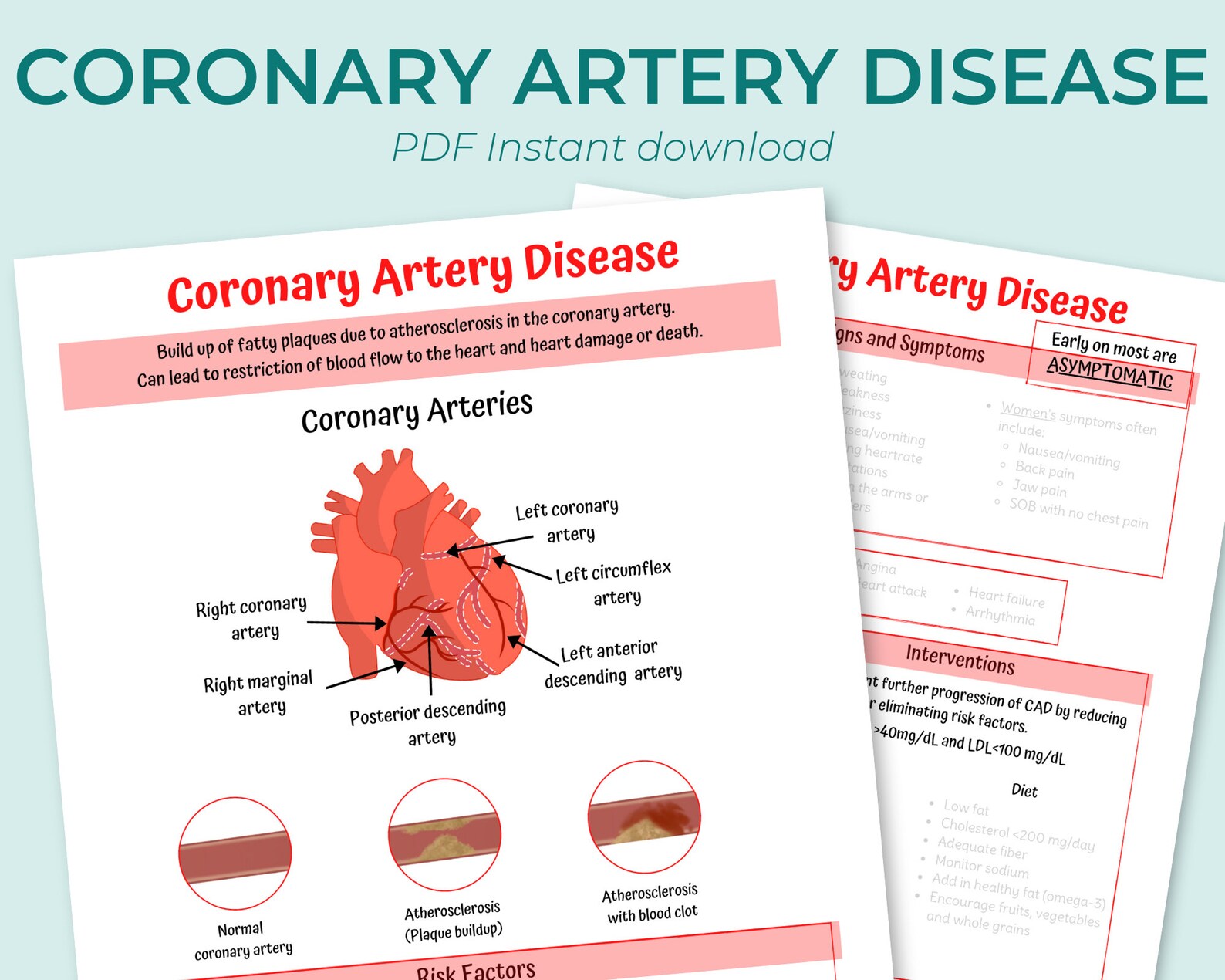 Cardiac Bundle Study Guide Nursing Study Guide Heart | Etsy