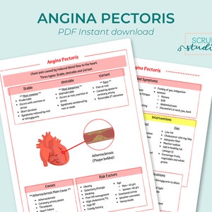 Cardiac Bundle Study Guide Nursing Study Guide Heart - Etsy