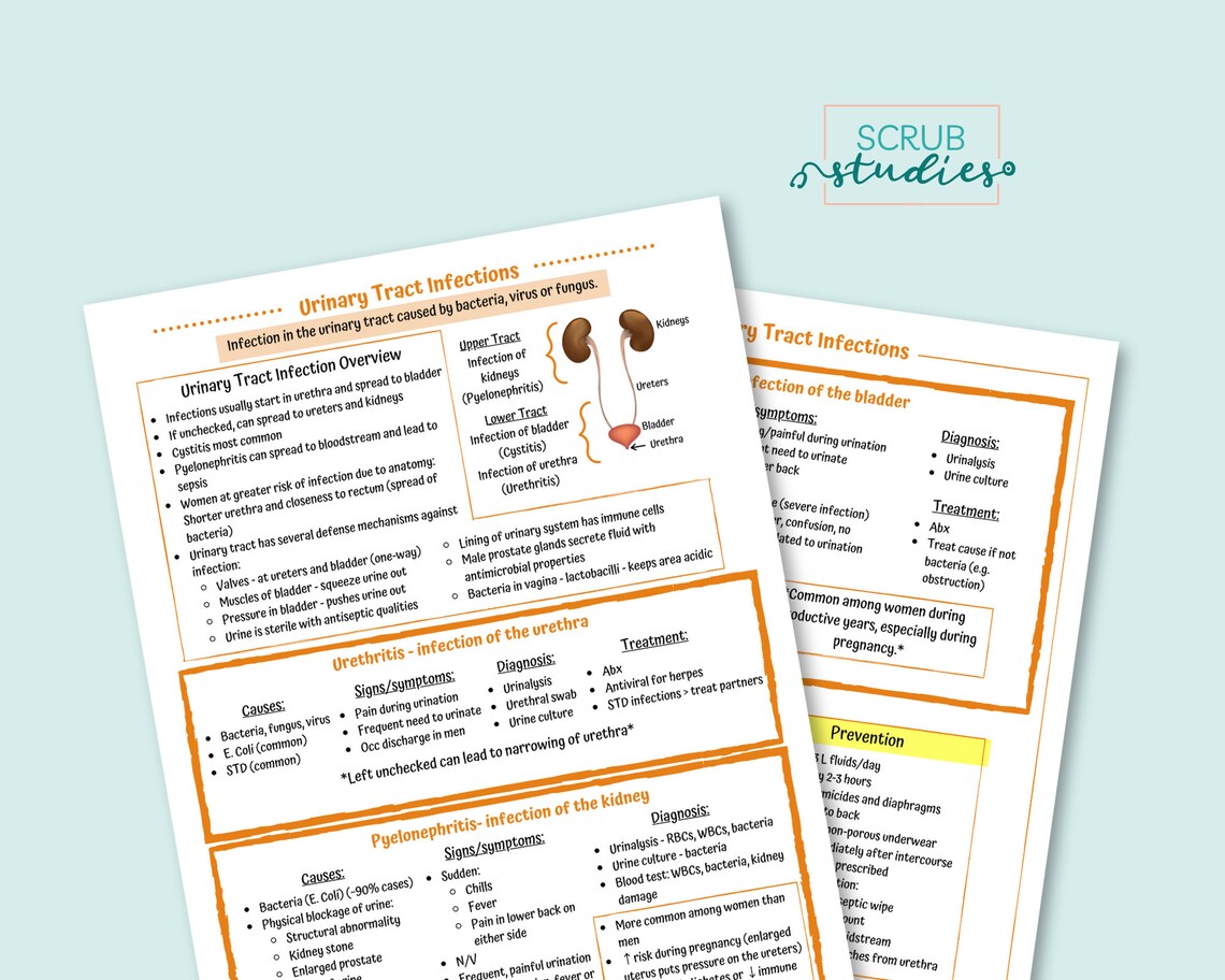 Urinary Tract Infections UTI Cystitis Urethritis Pyelonephritis Nursing ...