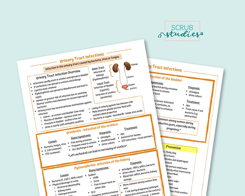 Urinary Tract Infections | UTI | Cystitis | Urethritis | Pyelonephritis ...