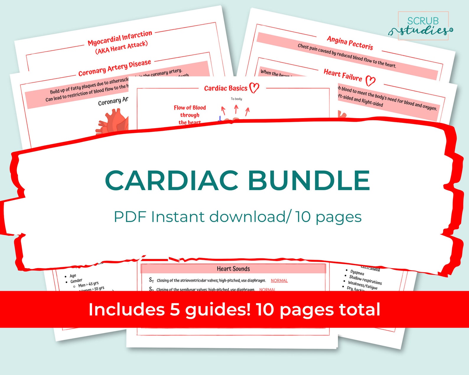 Cardiac Bundle Study Guide Nursing Study Guide Heart - Etsy