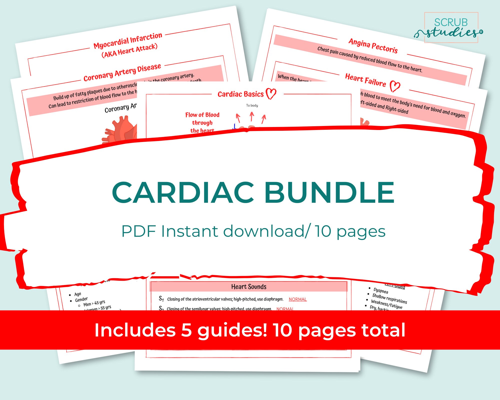 Cardiac Bundle Study Guide Nursing Study Guide Heart - Etsy