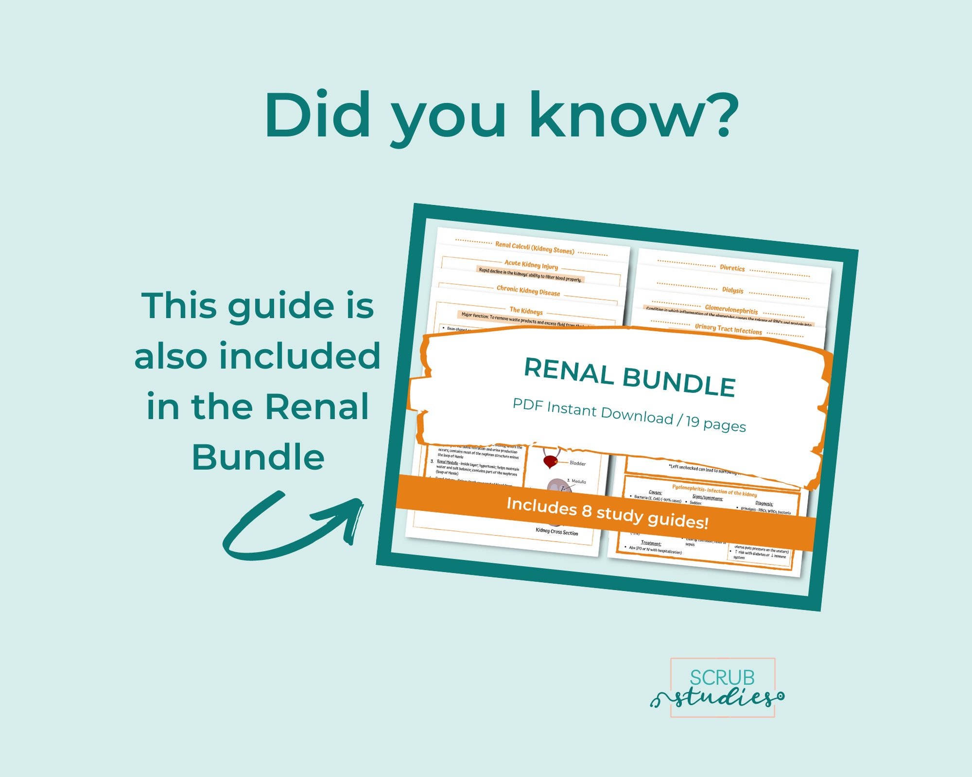 The Kidneys | Nephrons | RAAS | Nursing Student Study Guide | Digital ...