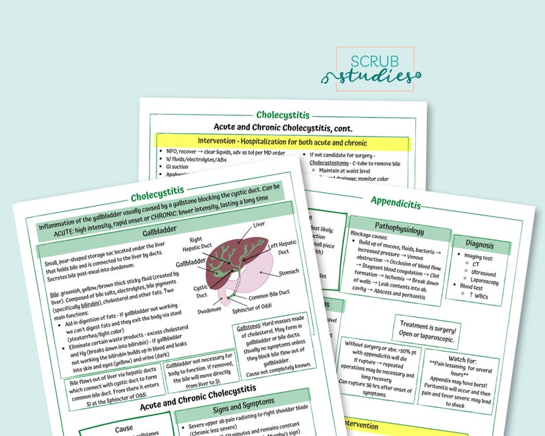 Cholecystitis and Appendicitis Study Guide Nursing Study - Etsy