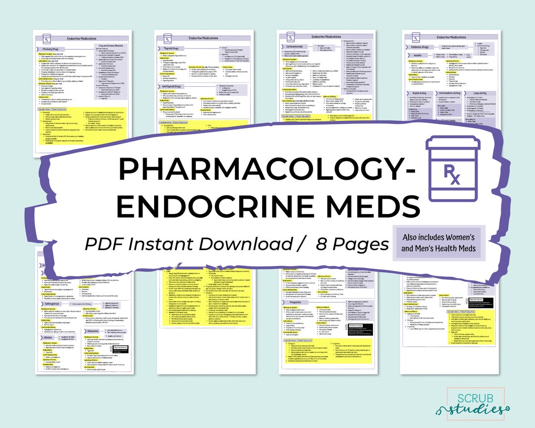 Pharmacology Endocrine Medications Nursing Student Study - Etsy