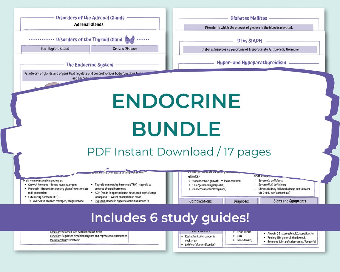 Endocrine Bundle Nursing Student Study Guide Digital - Etsy