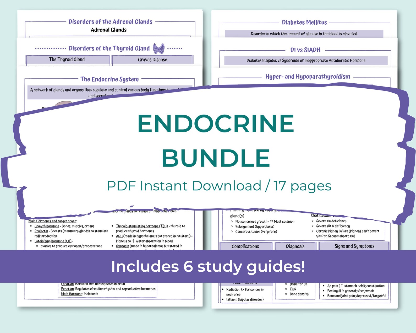 Endocrine Bundle Nursing Student Study Guide Digital - Etsy