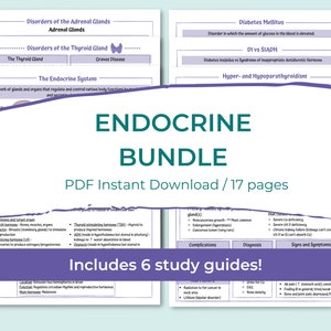Endocrine Bundle Nursing Student Study Guide Digital - Etsy
