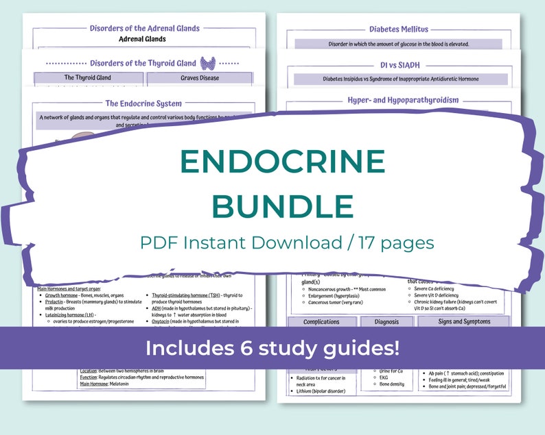 Endocrine Bundle Nursing Student Study Guide Digital - Etsy