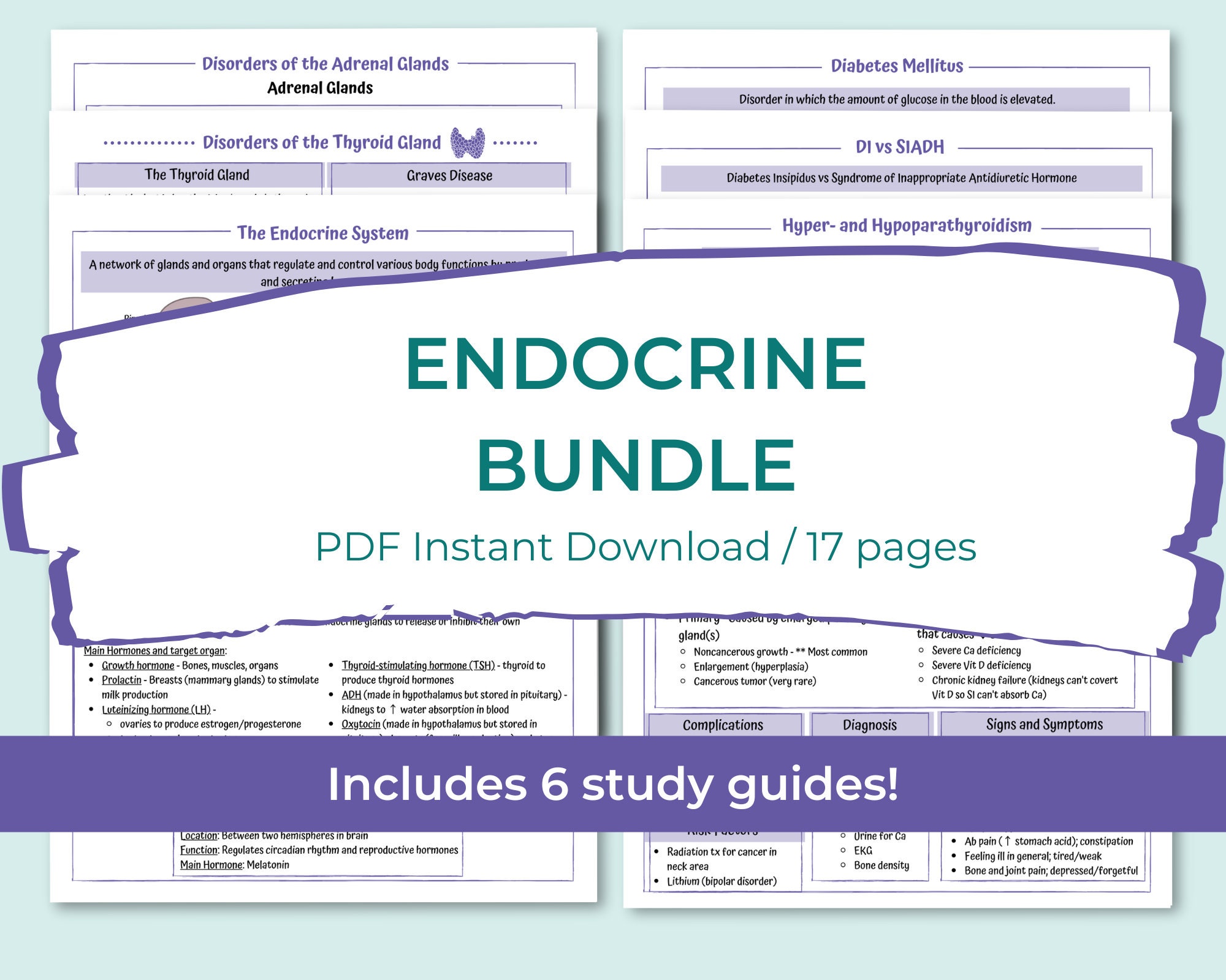 Endocrine Bundle Nursing Student Study Guide Digital - Etsy
