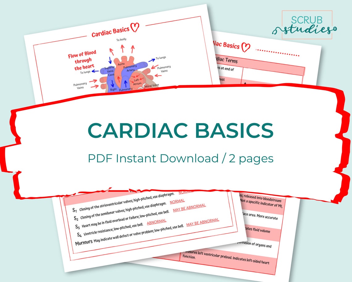 Cardiac Basics Nursing Study Guides Digital Download - Etsy
