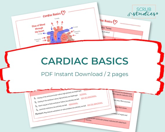 Cardiac Basics Nursing Study Guides Digital Download - Etsy